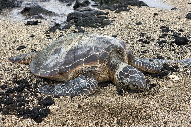 Private Circle Island Tour we build your dream Itinerary - Final Thoughts