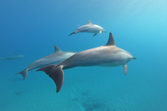 Private Circle Island Tour we build your dream Itinerary - FAQ