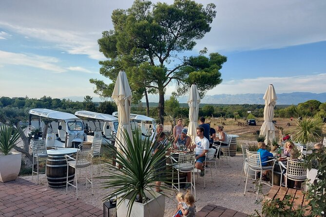 Private City and Wine Tour in Zadar With Eco Tuk Tuk - What to Expect on Your Journey