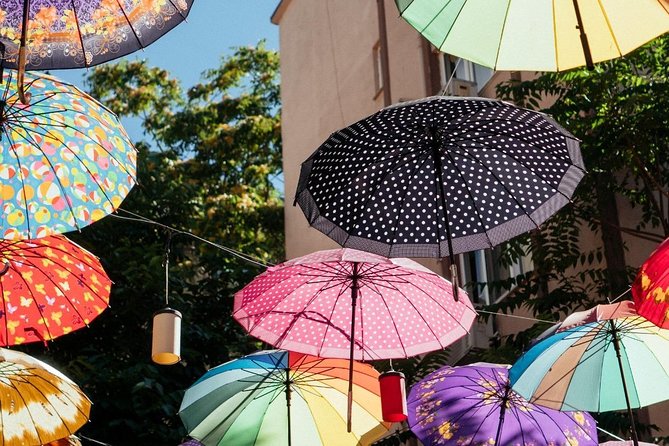 Private City Kickstart Tour: Istanbul - Accessibility