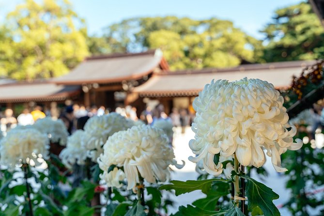 Private City Kickstart Tour: Tokyo - Personalized Recommendations for Further Exploration