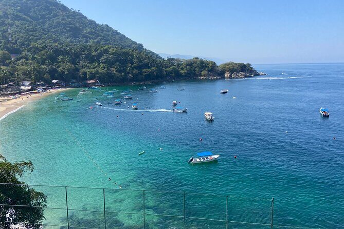 Private City & Rain Forest Xperience in Vallarta - Who Is This Tour Best For?