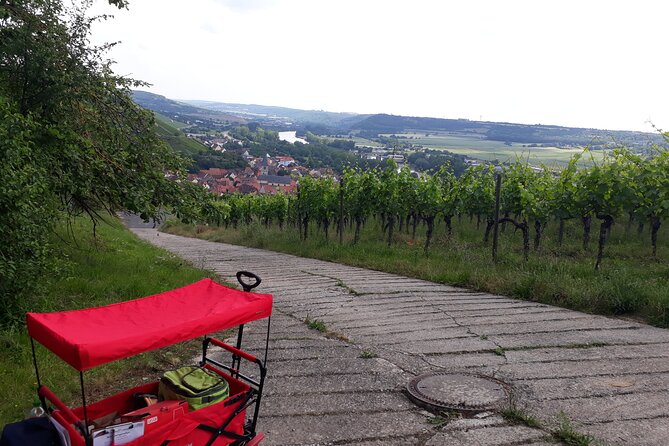 Private city rally in Würzburg including wine tasting - The Experience and Atmosphere