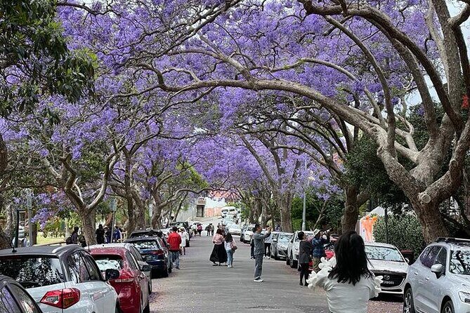 Private City Tour: Best of Sydney - FAQ
