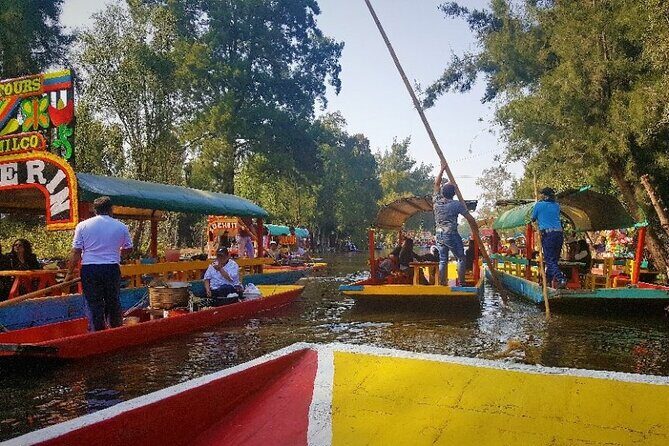 Private City Tour in Frida Kahlo, Coyoacan, and Xochimilco - The Magic of Xochimilco’s Floating Gardens