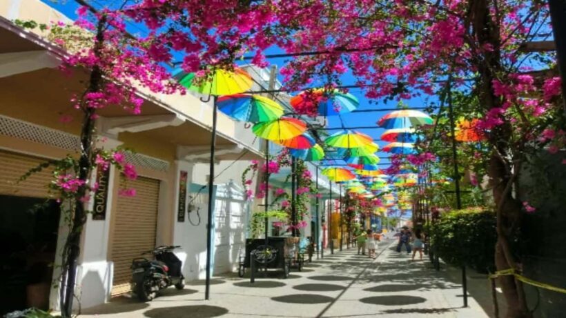 Private: City Tour with Lunch, Rum, and Chocolate - Frequently Asked Questions