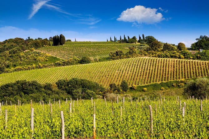 Private Classic Wine Tour in Chianti from Florence - Unveiling the Charm of the Chianti Private Wine Tour from Florence
