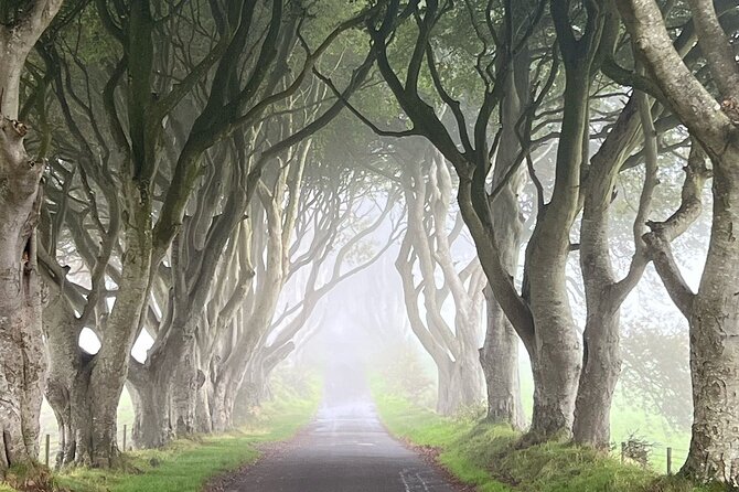 Private Coast Tour in Belfast - The Scenic Causeway Coastal Route