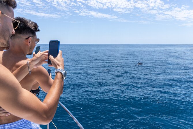 Private Coastline and Dolphins Yacht Cruise from Albufeira - Who Will Love This Experience?