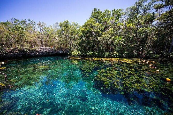 Private Coba & Zipline, Rappel and Cenote Snorkeling - A Feast of Flavors: Mayan Taco Fiesta