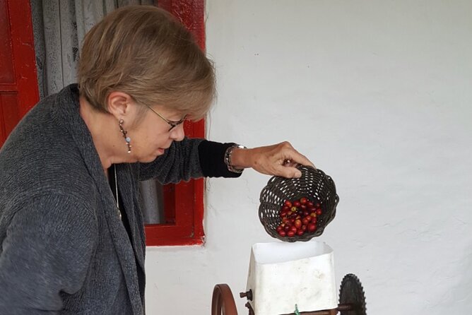 Private Coffee Tour Near Medellín, From Bean to Cup. - Elevating Coffee Knowledge