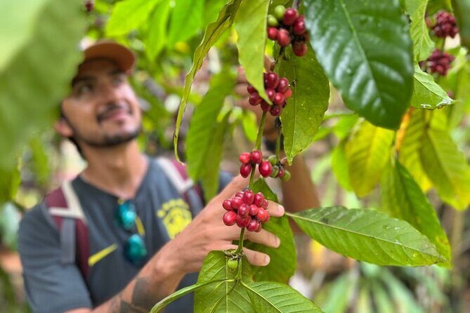 Private Coffee Trail ATV Tour in Samana - The Sum Up: Is It Worth It?