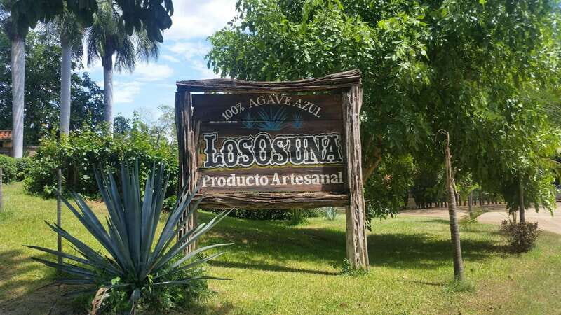 Private Colonial Tour Tequila and the Noria - A Closer Look at the Tour Experience