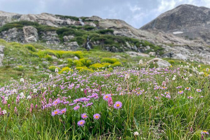 Private Colorado Backcountry 4x4 Off Road Adventure Tour - The Itinerary in Detail: What to Expect