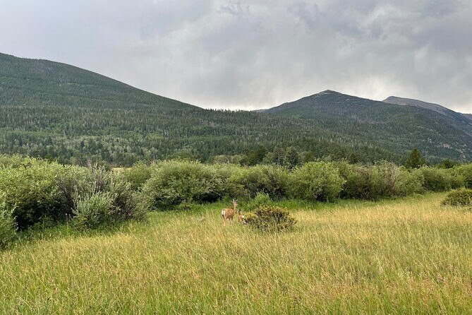 Private Colorado Springs City Tour from Denver - Practical Details for Planning