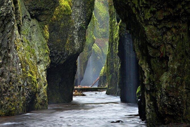 Private Columbia River Gorge Half-Day Tour - Key Points