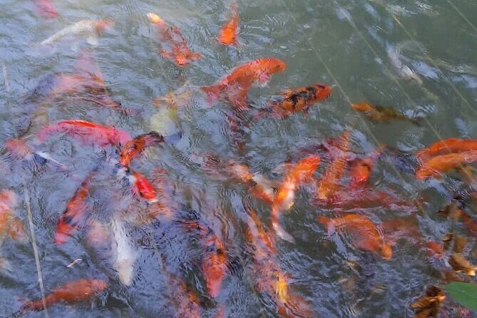 Private Combo Tour From Ocho Rios To Blue Hole & Konoko Falls - What the Reviews Say