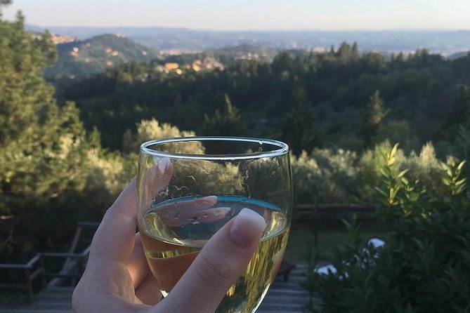 Private Cooking Class in a Florentine Villa With Transfer - Exceptional Guest Feedback and Experiences