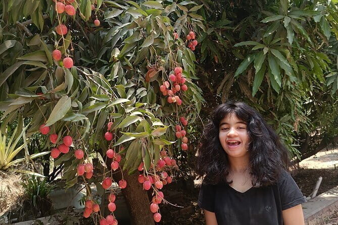 Private Cooking Classes on a Farm in Bangalore City - Private Cooking Classes on a Farm in Bangalore City