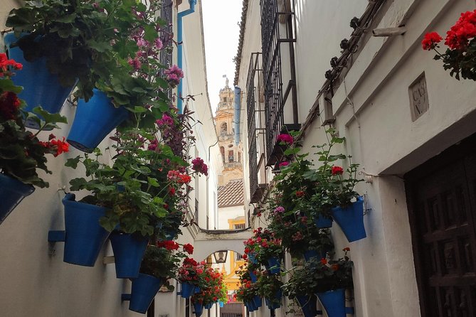 Private Córdoba Highlights Walking Tour - FAQs