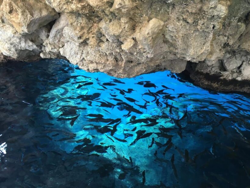 Private Corfu Tour - Paleokastritsa & Glyfada beach - An In-Depth Look at the Experience