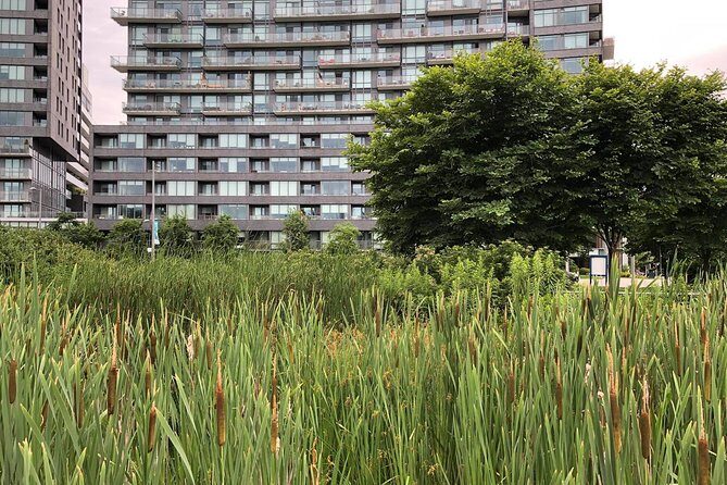 Private Corktown and Distillery District Tour - Authentic Flavor and Local Charm