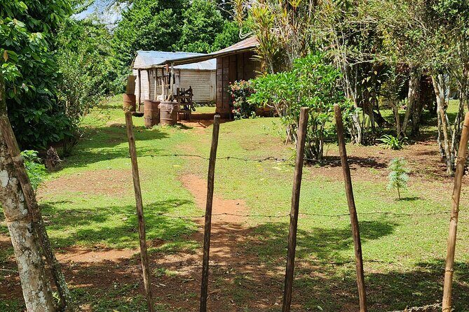 Private Countryside and City Tour in Puerto Plata - Key Points