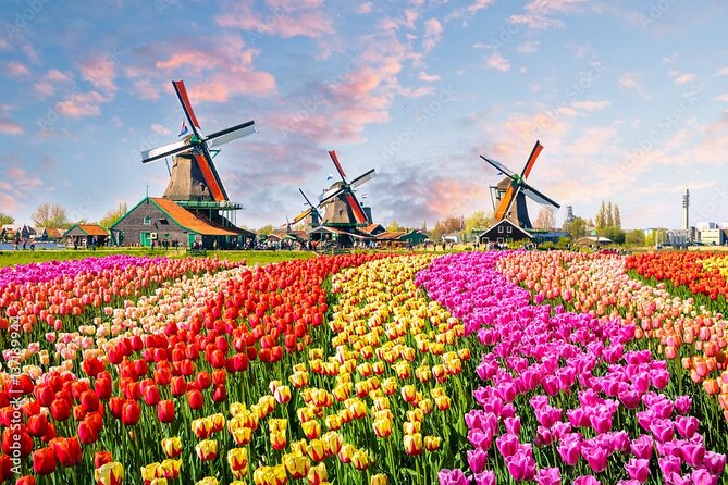 Private Countryside Tour From Amsterdam - Key Points