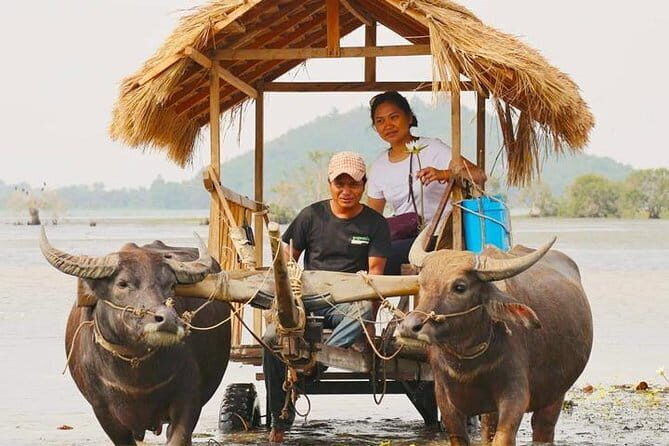 Private Countryside with Buffalo Cart tour - Half Day - An In-Depth Look at the Experience