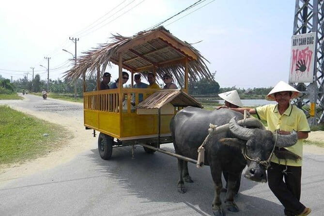 Private Countryside with Buffalo Cart tour - Half Day - The Value and Practicalities