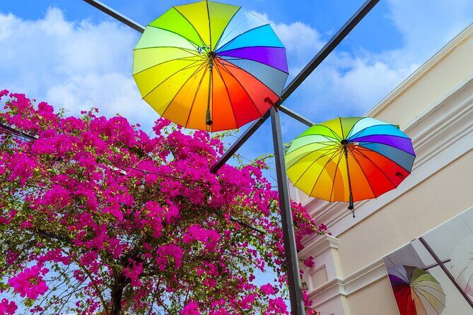 Private Couple's Tour of Puerto Plata-Wine or Champagne Included - FAQ: Practical Questions About the Tour