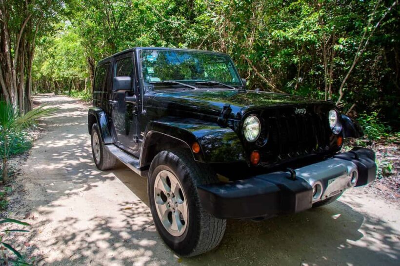 Private Cozumel Jeep and Jade Cavern Cenote Tour - Who Would Love This Tour?