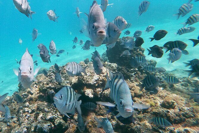 Private Cruise on a Hatteras 52 - The Yacht Experience: Comfort and Attentiveness