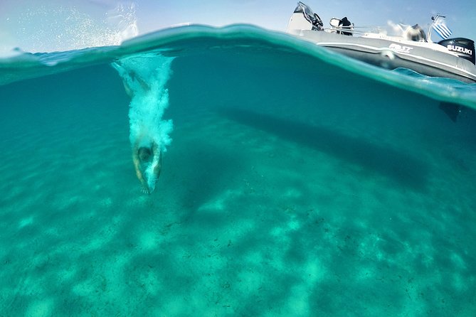 Private Cruise: PAROS  DELOS  RHENIA - MYKONOS - FAQ