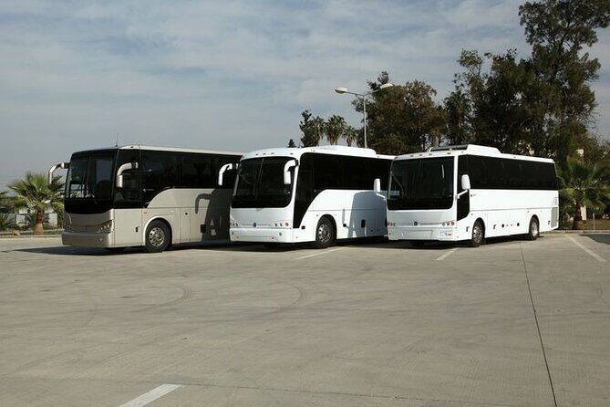 Private Cruise Port Transfer from MIA Airport or Any Miami Hotel - Booking and Cancellation