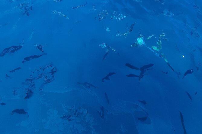 Private cruise to Cap d'Antibes and the Lérins Islands by sailboat - The Sum Up