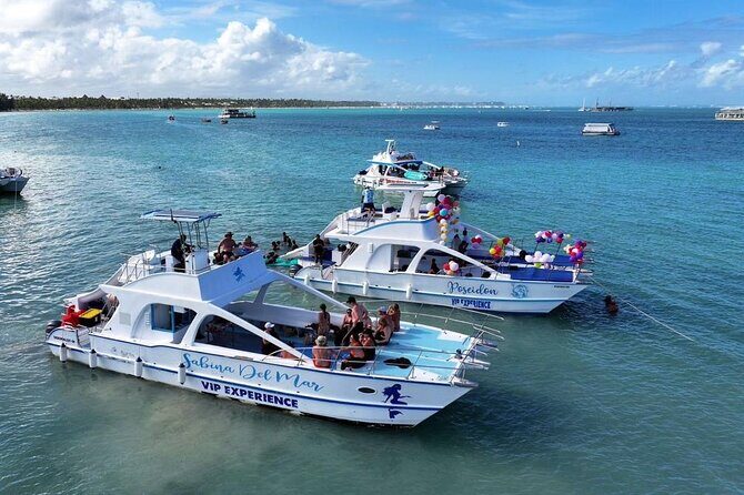 Private Cruise with BBQ - Slide And Open Bar - An In-Depth Review of the Punta Cana Private Cruise Experience