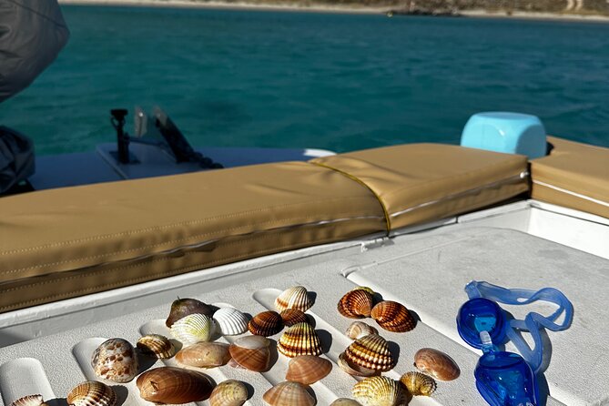 Private Cruise with Handmade Antique Boat around Mykonos-Full Day - Who Should Consider This Tour?