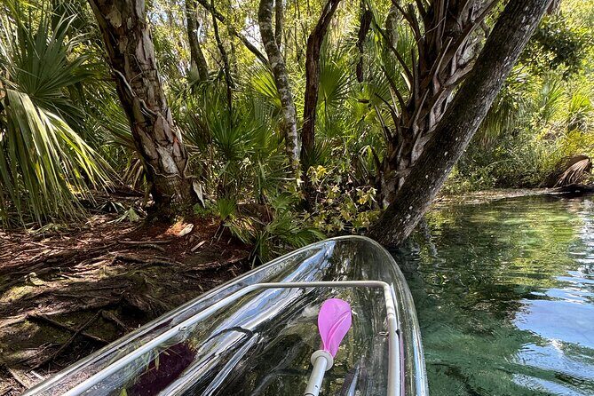 Private Crystal Clear 2 HR Kayak/Paddle Rental on Rainbow River - Introduction