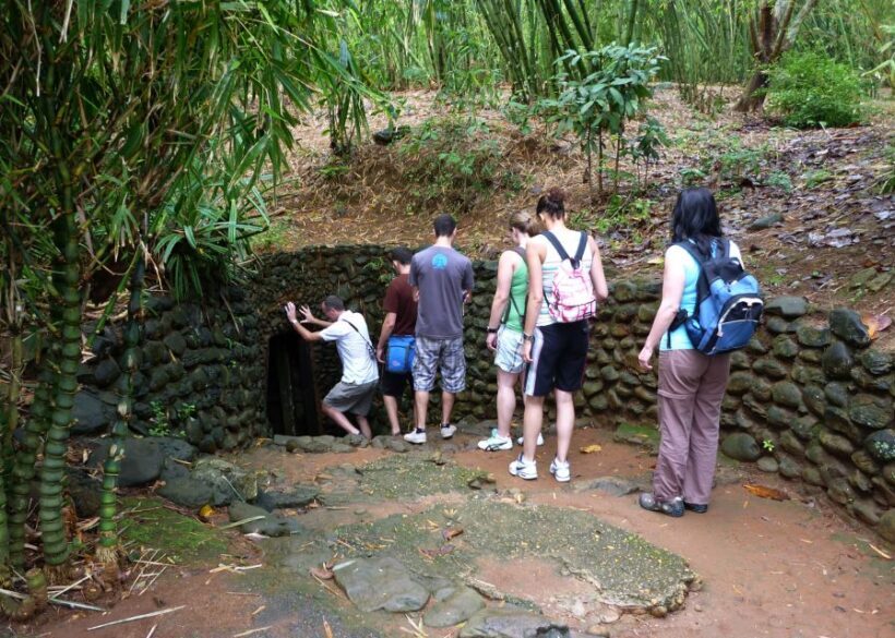 Private Cu Chi & Mekong Delta Tour: History Meets Nature - Key Points