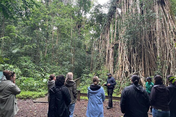Private Cultural Discovery Tour on the Atherton Tablelands - The Sum Up: Who Will Love This Tour?