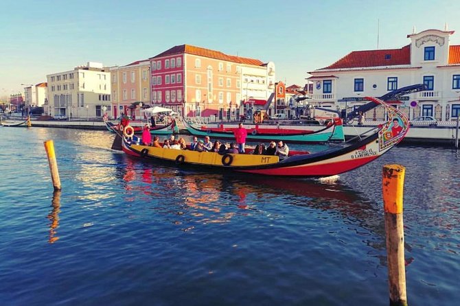 Private Cultural Tour Aveiro and Coimbra From Porto - Comfortable and Hassle-free Transportation