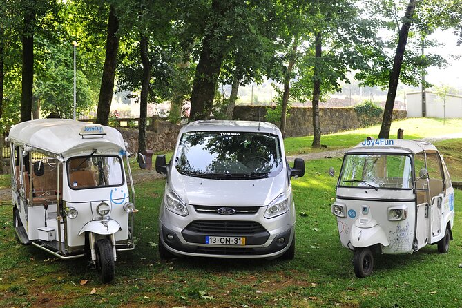 Private Culture and Wine Tourism Tour - Accessibility and Additional Information