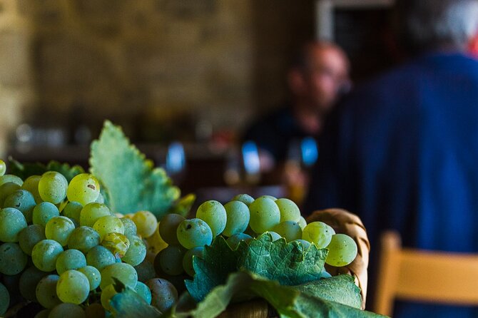 Private Culture and Wine Tourism Tour - What to Expect