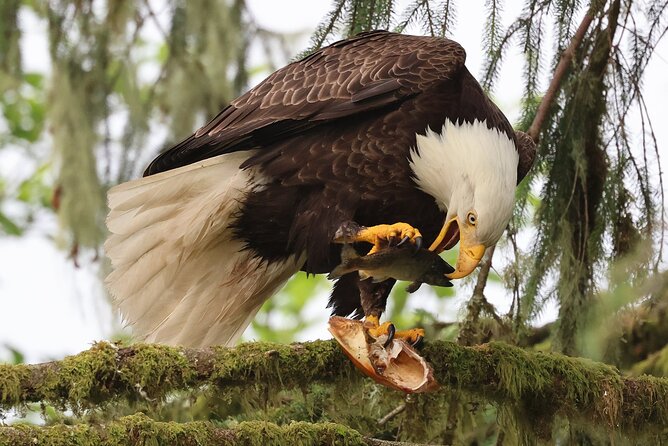 Private Custom Excursion With a Local for up to 14 People - Key Points