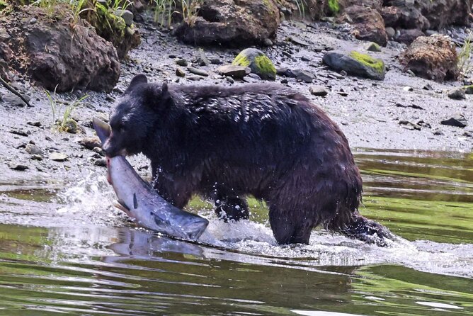 Private Custom Excursion With a Local for up to 14 People - Pricing and Cancellation Policy