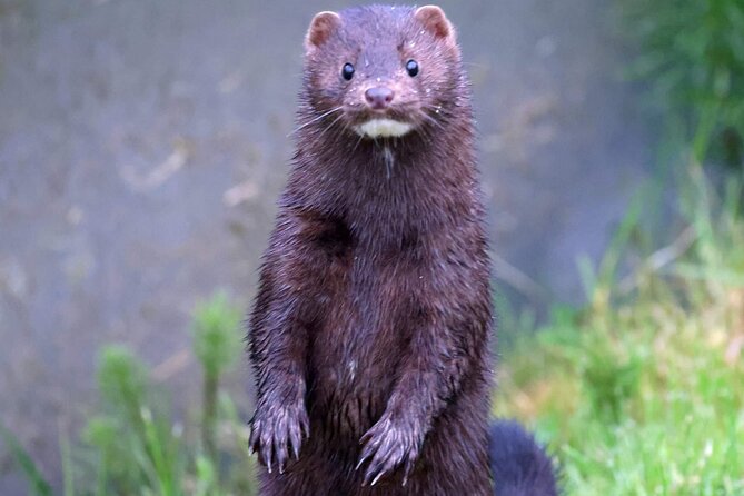 Private Custom Excursion With a Local for up to 14 People - Traveler Experiences and Feedback