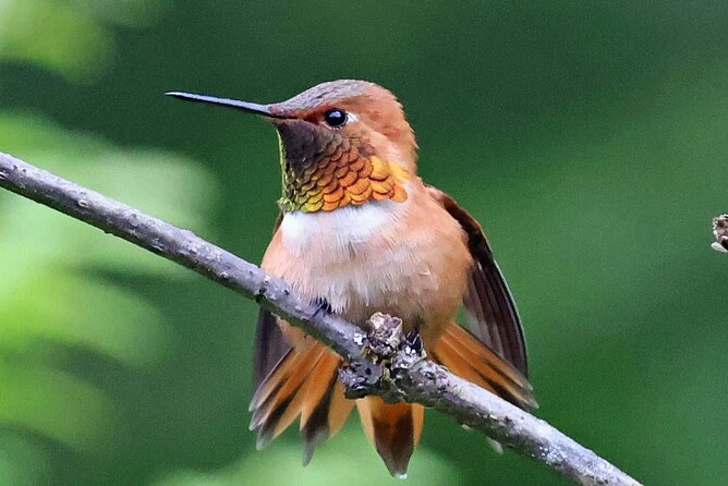 Private Custom Excursion With a Local for up to 14 People - Unique Wildlife Opportunities