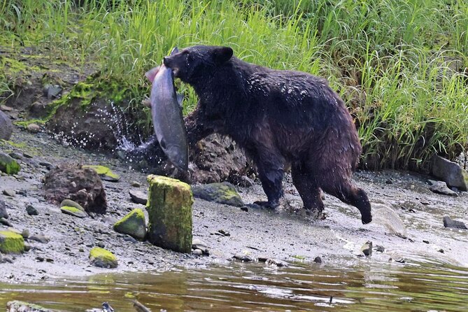 Private Custom Excursion With a Local for up to 14 People - Insider Tips for Local Dining and Shopping