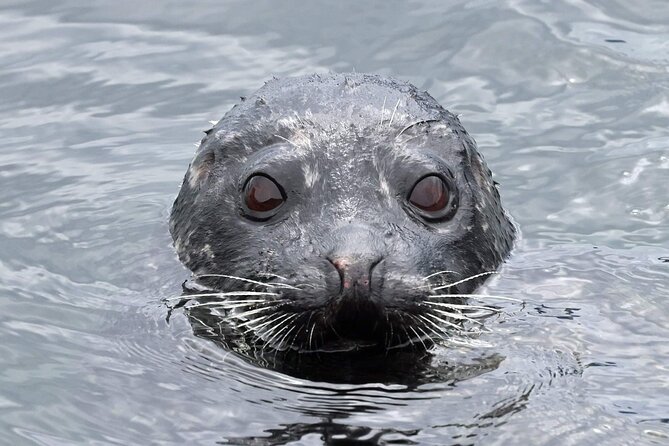 Private Custom Excursion With a Local for up to 14 People - Tailored Excursions for Families and Small Groups